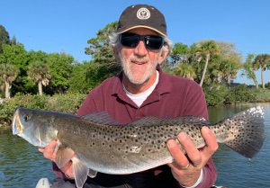 Mosquito Lagoon Spotted Sea Trout - Indian River Lagoon Speckled Trout ...