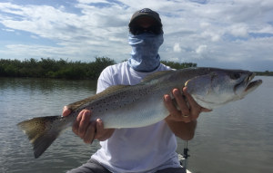 Mosquito Lagoon Spotted Sea Trout - Indian River Lagoon Speckled Trout ...