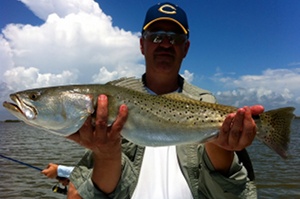 Mosquito Lagoon Spotted Sea Trout - Indian River Lagoon Speckled Trout ...