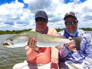 Mosquito Lagoon Spotted Sea Trout - Indian River Lagoon Speckled Trout ...
